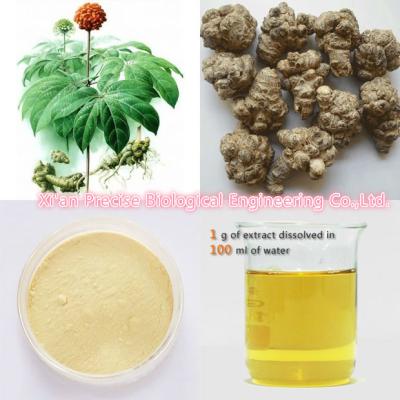 China Notoginseng triterpenes plant extract prowder for sale