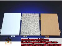 China Perforating Metal Sheet For Wall Cladding With Pattern Solid Aluminum Panel Powder Coated for sale