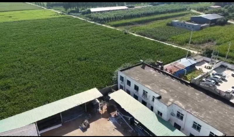 Fornitore cinese verificato - Hebei Aochi Metal Wire Mesh Products Co., Ltd.