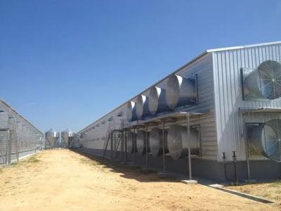 Cina Struttura in acciaio galvanizzato in vendita