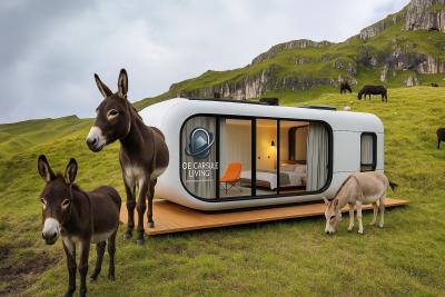 Cina Casa container moderna di lusso da 20 piedi, piccola struttura prefabbricata in acciaio residenziale per hotel, ville e appartamenti in vendita
