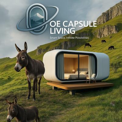 Cina Casa container moderna di lusso da 20 piedi, piccola struttura prefabbricata in acciaio residenziale per hotel, ville e appartamenti in vendita