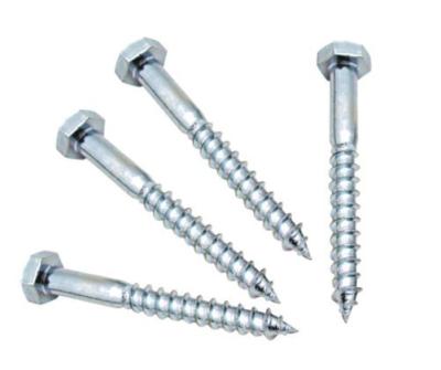 China Grade 6.8 Metal Bolt DIN571 Carbon Steel Stainless Steel Coach Bolt For Durable Industrial Connectio for sale
