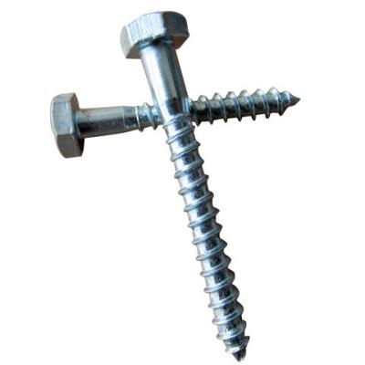 China DIN571 Standard Zinc Plated Carbon Steel Coach Screw Lag Bolt for Durable Construction Fastening for sale
