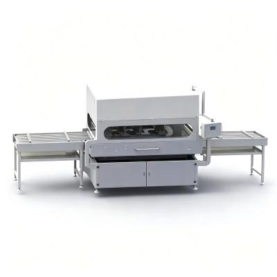 China Donut Chocolate Coating & Forming Machine for sale