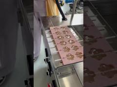 Semi‑Automatic Candy Depositing Machine