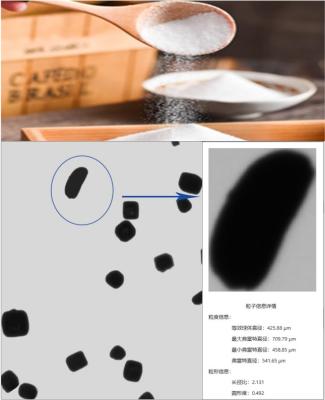 China Portable Dynamic Image Grain Size Analyzer with 10-2500 μm Measurement Range and 8-inch Color Screen for sale