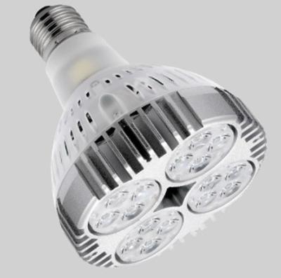 China High Lumen 30W Led Spot Lighting 60 Hz IP44 , 30 ° school Led Track Spot Light for sale