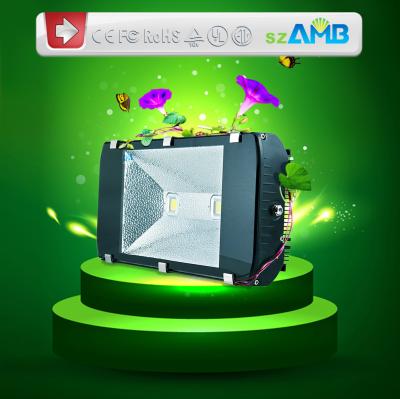 China Outdoor Waterproof Aluminum Reflector High Brightness 23750 lumen 250W LED Tunnel Light for sale
