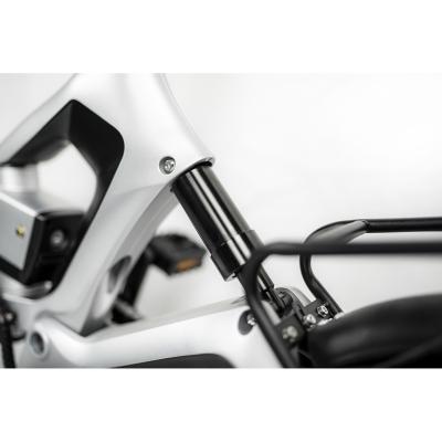 Cina Lega 2021 del magnesio della bicicletta di Small Size Electric del nuovo modello della E-bici di AVIS Mini Folding in vendita