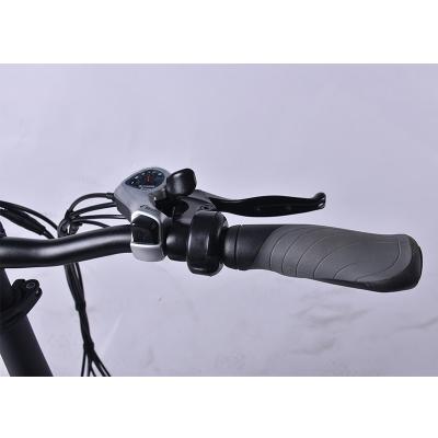 Cina 1000w bici piegante elettrica leggera 48V con il sistema 7speed in vendita