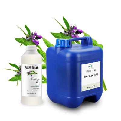 Cina Factory Wholesale Borage Oil Gentle Natural Massage Spa Carrier Oil For babies all person in vendita
