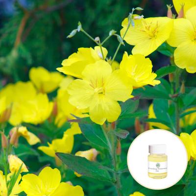Cina Trattamento di artrite reumatoide dell'olio dell'enagra degli oli essenziali di massaggio di Cas 65546-85-2 in vendita