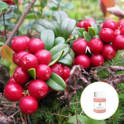 Cina Sanità di uso di massaggio dell'olio del trasportatore dell'olio di semi del Lingonberry del ODM dell'OEM in vendita