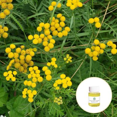 Cina CAS 8016-87-3 oli essenziali naturali in vendita