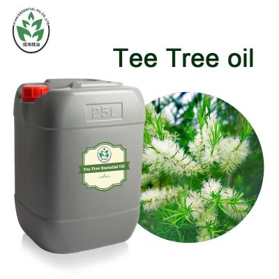 China Cas 68647 difusor orgânico natural puro do volume do óleo da árvore do chá 73 4 para cuidados com a pele da massagem à venda
