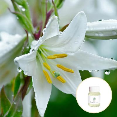 Cina Il diffusore dell'aroma usa gli oli essenziali naturali Lily Essential Oil in vendita