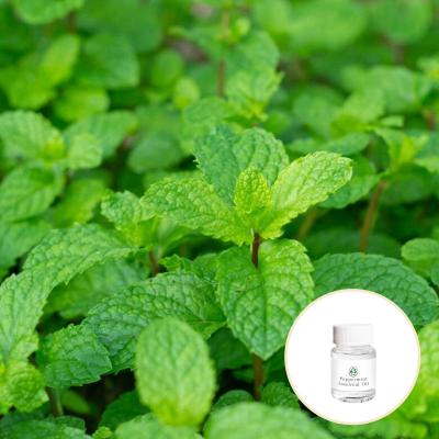 Cina I Cas 68917 18 0 oli essenziali della menta piperita in serie all'ingrosso per i cosmetici/massaggiano l'olio di mente piperite in vendita
