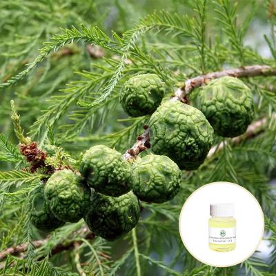 Cina Olio essenziale di cupressus sempervirens cosmetico del grado naturale in vendita