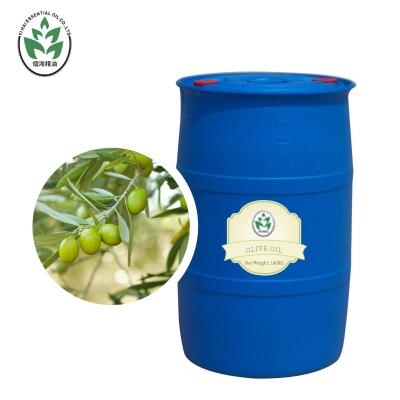 China Olive Organic Carrier Oils verde à venda
