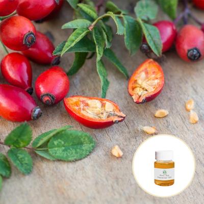 Cina Rose Hip Seed Oil Anti pressata a freddo naturale organica corruga l'idratazione in vendita