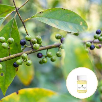 Китай эфирное масло Litsea Cubeba качества еды очищенности 67%Min как пищевая добавка продается