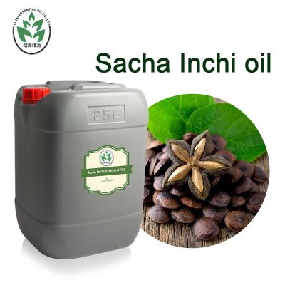 Cina Metabolismo organico antinvecchiamento di Sacha Inchi Oil For Skin della stampa fredda in vendita