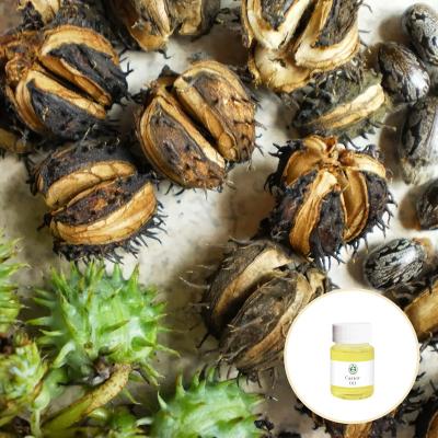 Cina Crescita nera giamaicana d'idratazione organica pura dei capelli dell'olio di ricino di 100% in vendita
