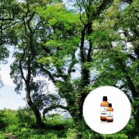 China Linalool Pure Organic Essential Oils for sale