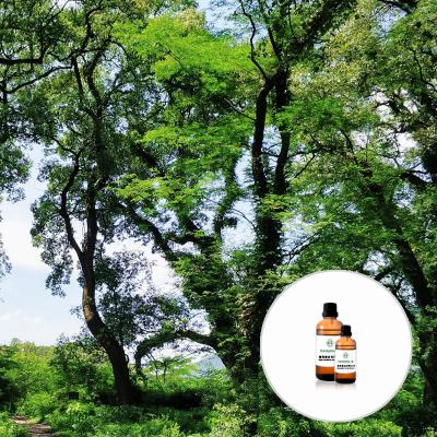 China Linalool Pure Organic Essential Oils for sale