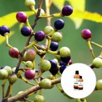 China Cas 5392-40-5 Natural Citral for sale