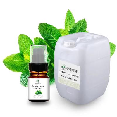 China CAS 90063 97 1 Natuurlijke Hydrosolpure-Jeukerige de Huidbehandeling van het Pepermuntuittreksel Te koop
