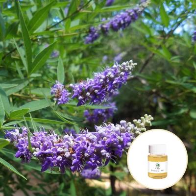 Cina olio organico puro terapeutico di cannabifolia del grado 100% Vitex dell'olio in serie all'ingrosso per il cosmetico in vendita