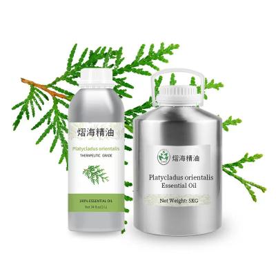 Cina Olio essenziale del Arborvitae naturale degli oli essenziali di Platycladus Orientalis 100 in vendita