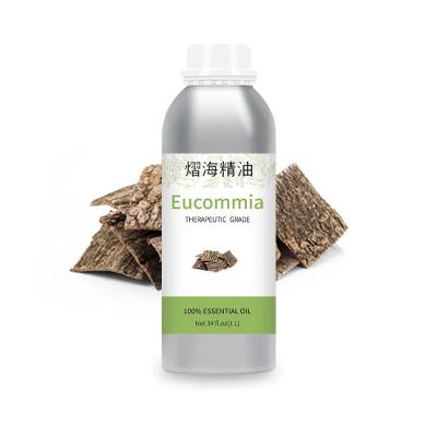 Cina Eucommia ulmoides 100 oli essenziali naturali per artralgia reumatica CAS 8015-64-3 in vendita