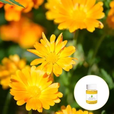 Cina Olio organico naturale puro del tagete dell'olio essenziale della calendula di 100% in vendita