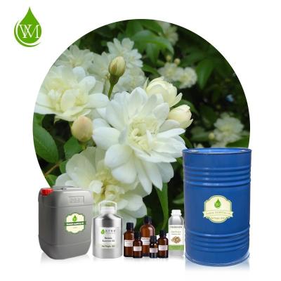 Cina Olio essenziale di Banksia naturale degli oli essenziali di Ebony Bark 100 per immunità Enhance in vendita