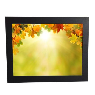 China 12.1 Inch Outdoor Panel PC with VESA Mounting - All-in-One Industrial Computer for Harsh Environments for sale