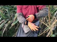 13 Messgerät-Polyester-Zwischenlage mit Latex-Handschuhen für die Gartenarbeit und die Einlagerung