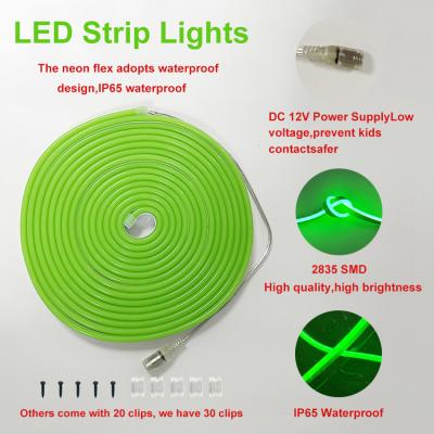 China Van LEIDEN van IP65 IP67 LEIDENE Neonflex strip 12V Flexibele T.L.-buislichten Te koop