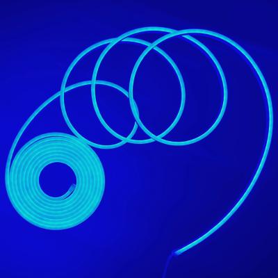 Cina Silicone Tube LED Neon Flex Strip 10mm Cutting Unit 300lm/M Lumen in vendita