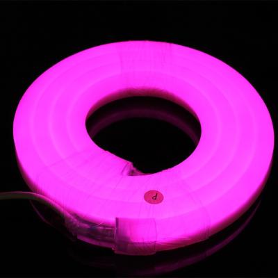 China Mini LED Neon Flex flexible LED neon rope light with IP66 protection rating and ultra thin 8 by 16 millimeter square profile for indoor outdoor for sale