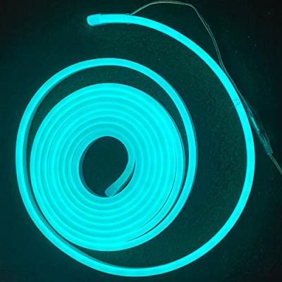 China 2.5cm 12VDC Cuttable LED Neon Tube IP67 Lake Blue Silicone for sale