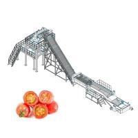 China Automatic Tomato Processing Line For Paste Making 110V for sale