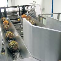 China Automatic 380V Mango Processing Line 5-50T/H Industrial Juice Making Machine for sale
