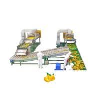 China Automatic 380V Mango Processing Line 5-50T/H Industrial Juice Making Machine for sale