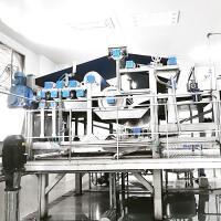 China Automatic 380V Mango Processing Line 5-50T/H Industrial Juice Making Machine for sale