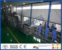 China Fruit Juice Processing Machines , Apple Processing Machine For Juice Making for sale