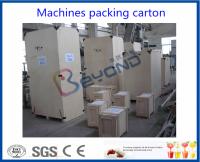 China Automatic Double Stage Fruit Pulping Machine 2-5 TPH Stainless Steel Processing Equipment for sale