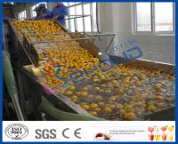 China Stepless Shift Fruit And Vegetable Processing Device , Fruit And Vegetable Washer Machine for sale